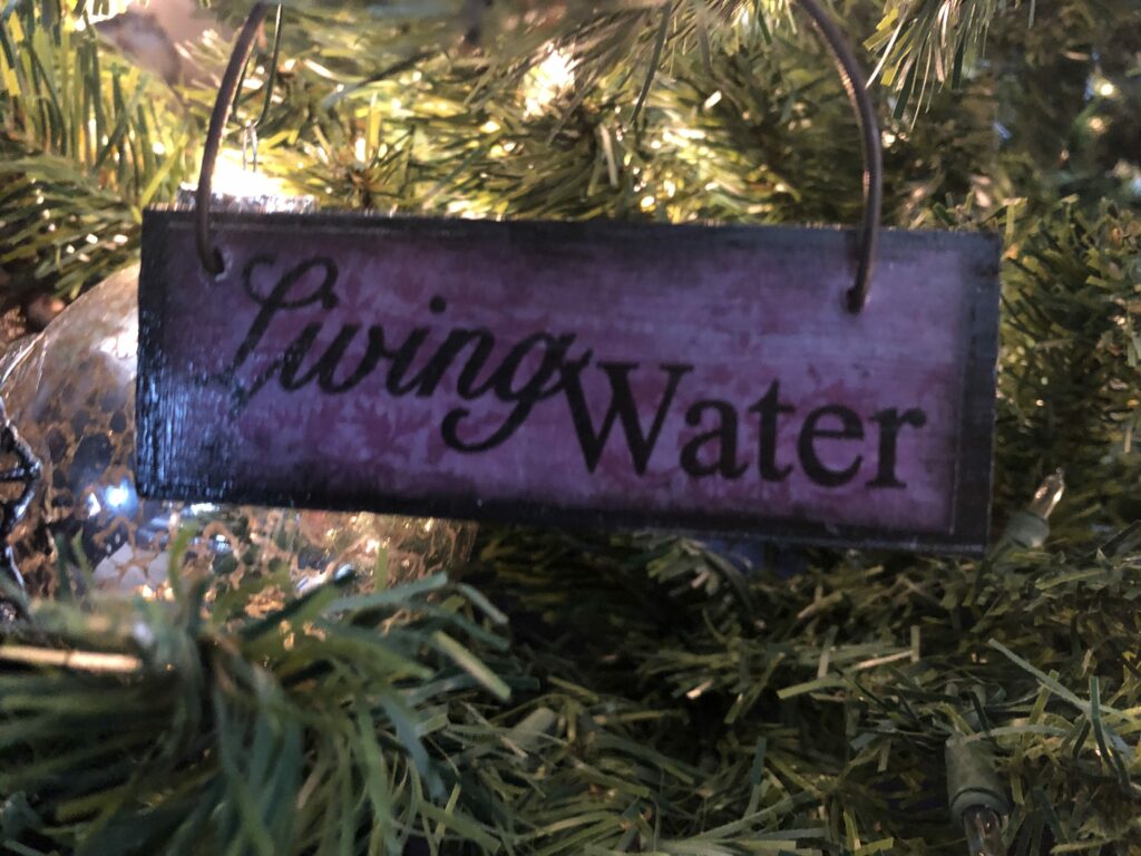 LIVING WATER - Seek This Jesus Study