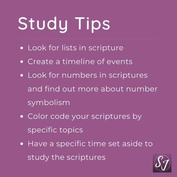 Logical-Mathematical Learning Style - Seek This Jesus Study