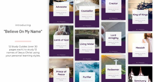 "Believe On My Name- Names of Christ Study Guide" - Seek This Jesus Study