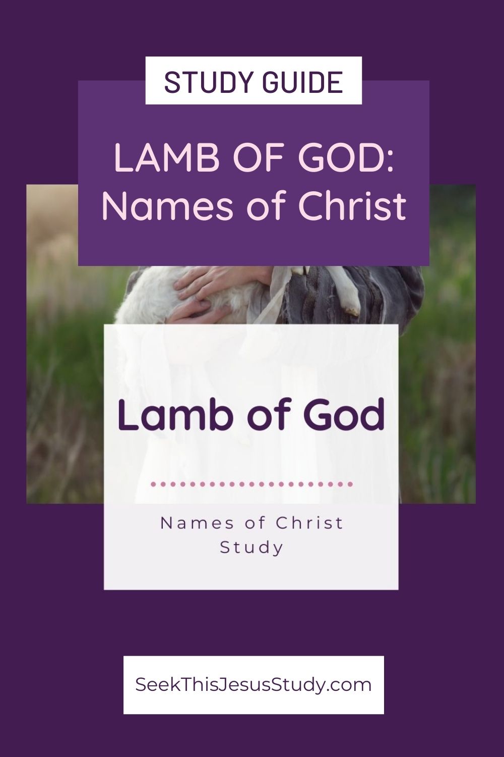 LAMB OF GOD – “Believe On My Name” (PDF) Printable LDS Study Guide ...