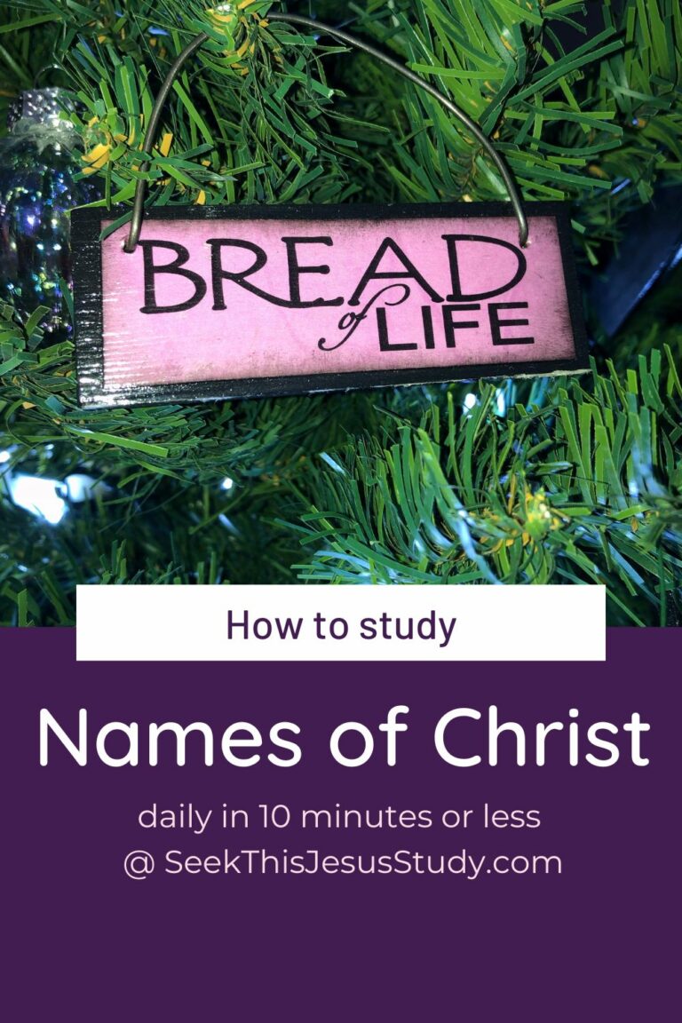 Bread of Life: “Keeping Christ in Christmas” 2021 Daily Devotional Day ...