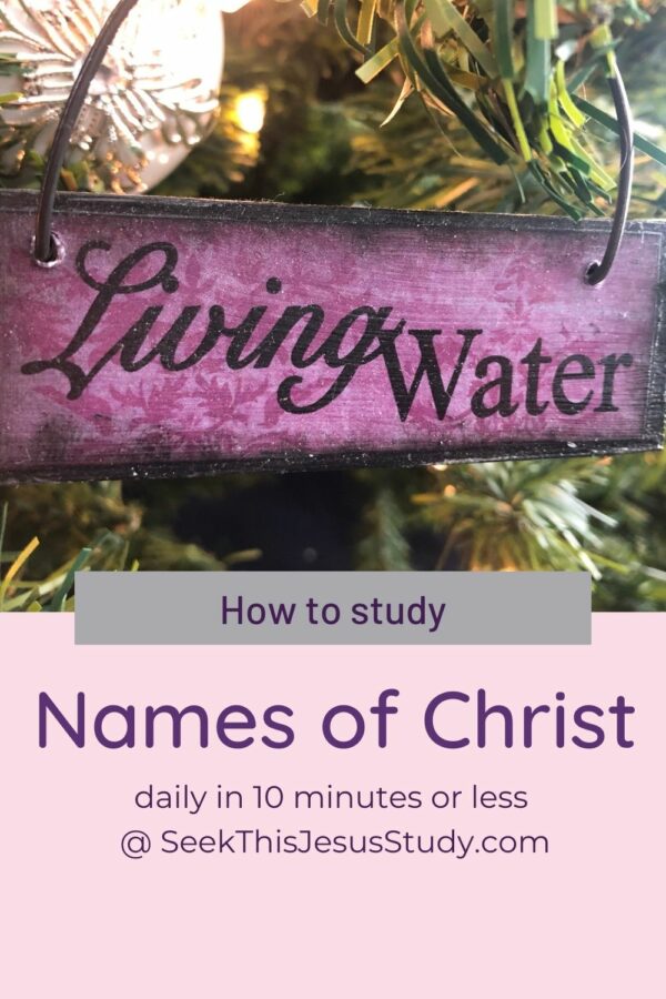 Living Water: “Keeping Christ in Christmas” 2021 Daily Devotional Day ...