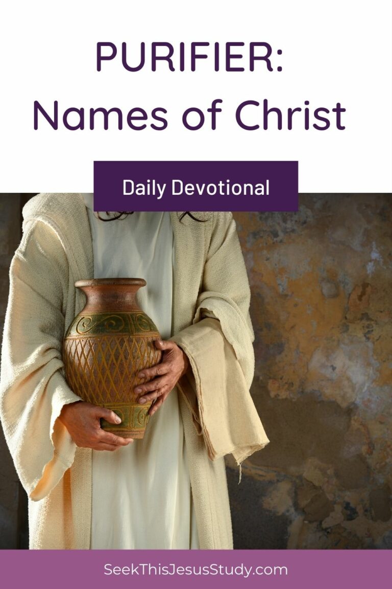 Purifier: “Keeping Christ in Christmas” 2021 Daily Devotional Day 24 ...