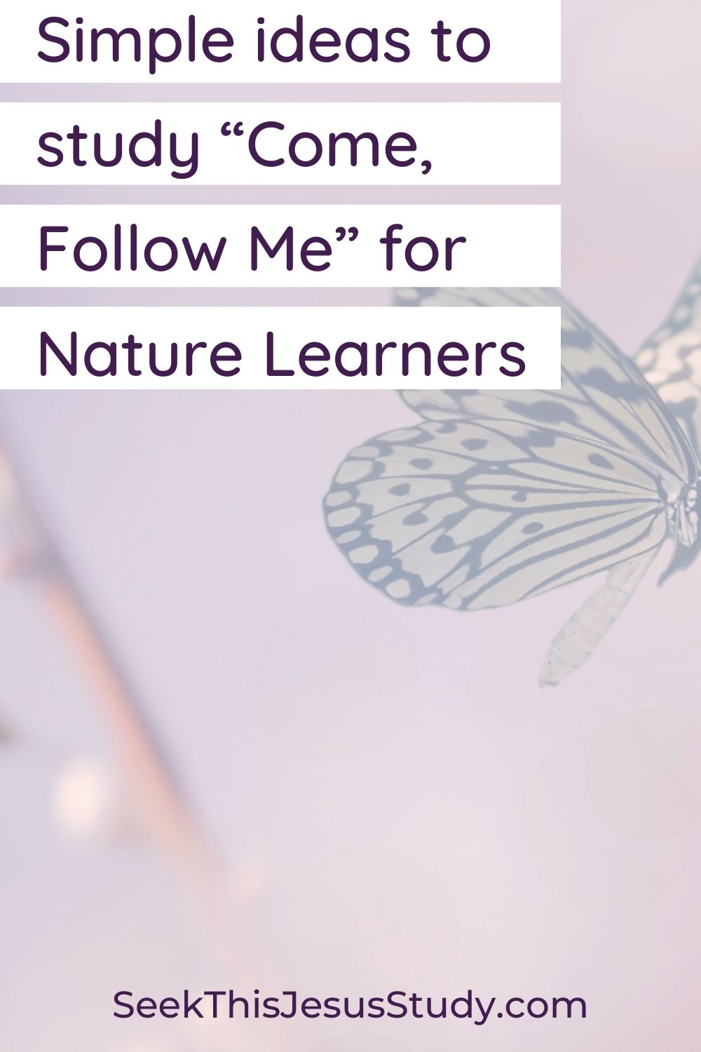 EASY TIPS AND IDEAS FOR NATURE LEARNERS (NATURALISTIC) USING “COME ...