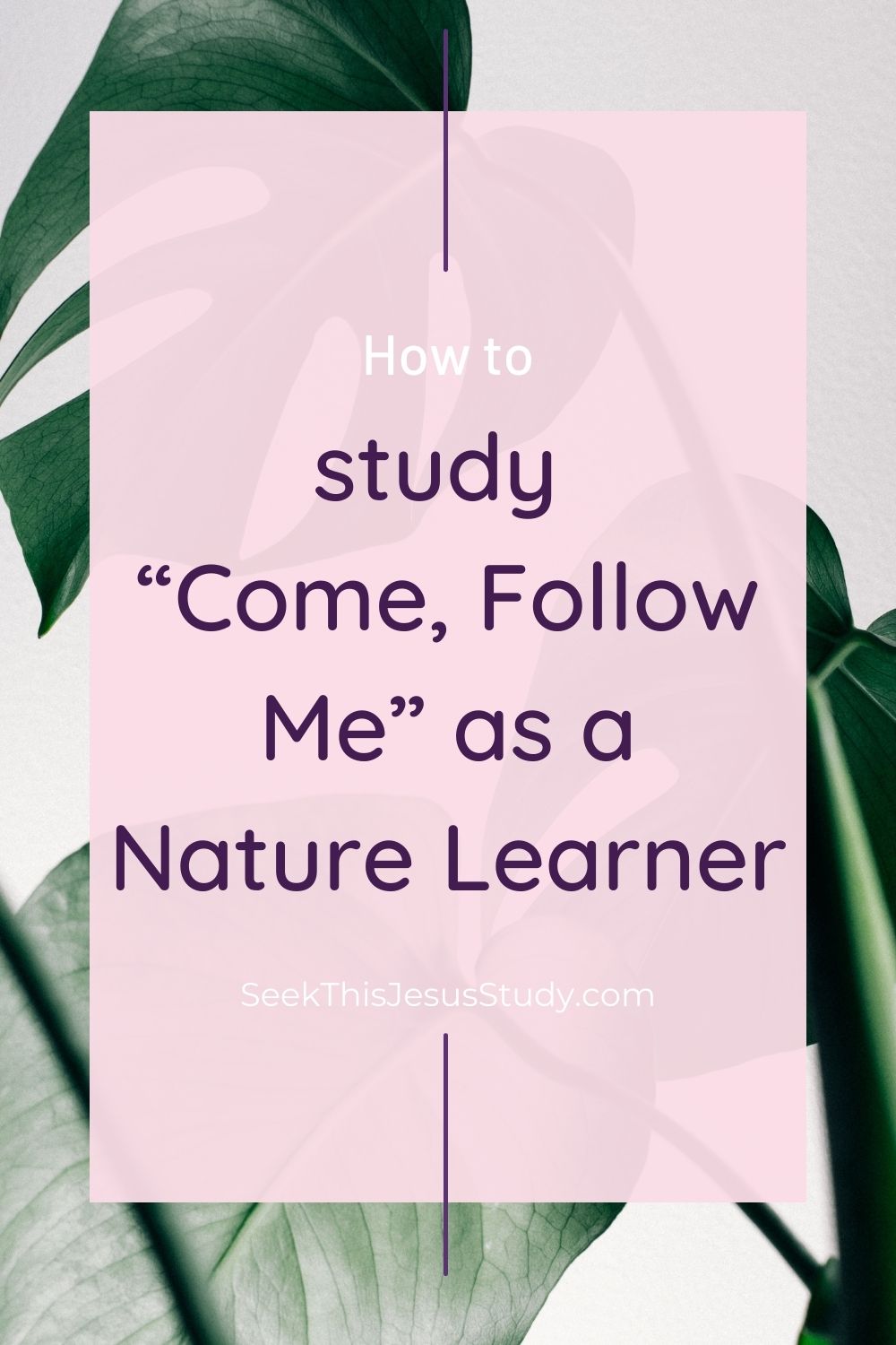 EASY TIPS AND IDEAS FOR NATURE LEARNERS (NATURALISTIC) USING “COME ...