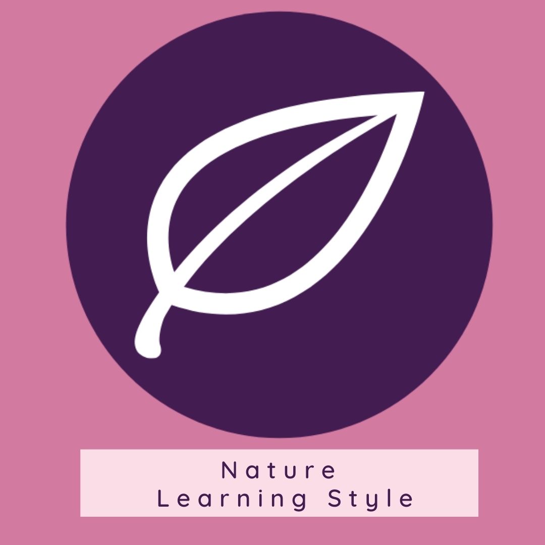Nature Learning Style - Seek This Jesus Study