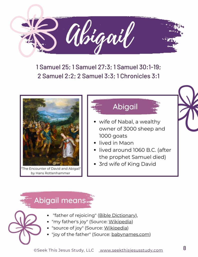 Abigail: Faithful Women of the Old Testament Study Guide - Seek This ...
