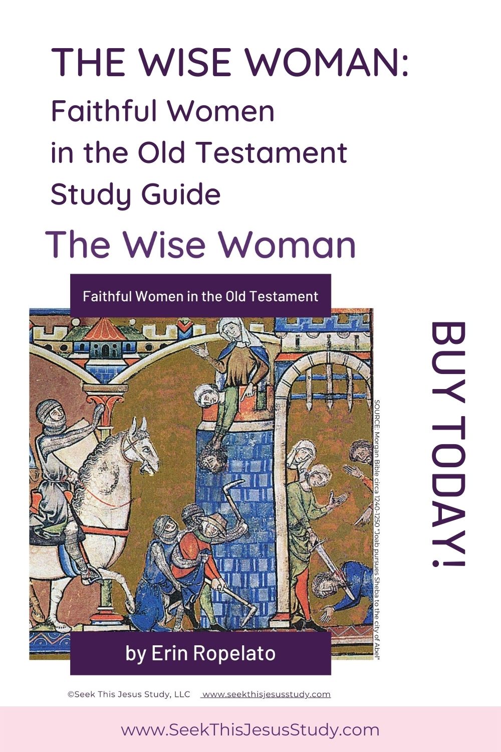 The Wise Woman: Faithful Women of the Old Testament Study Guide - Seek ...