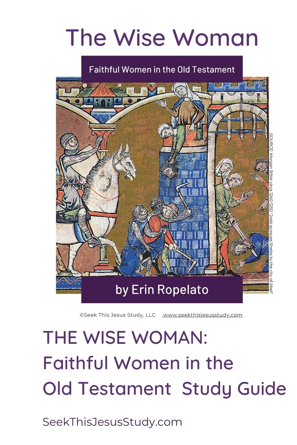 The Wise Woman: Faithful Women of the Old Testament Study Guide - Seek ...