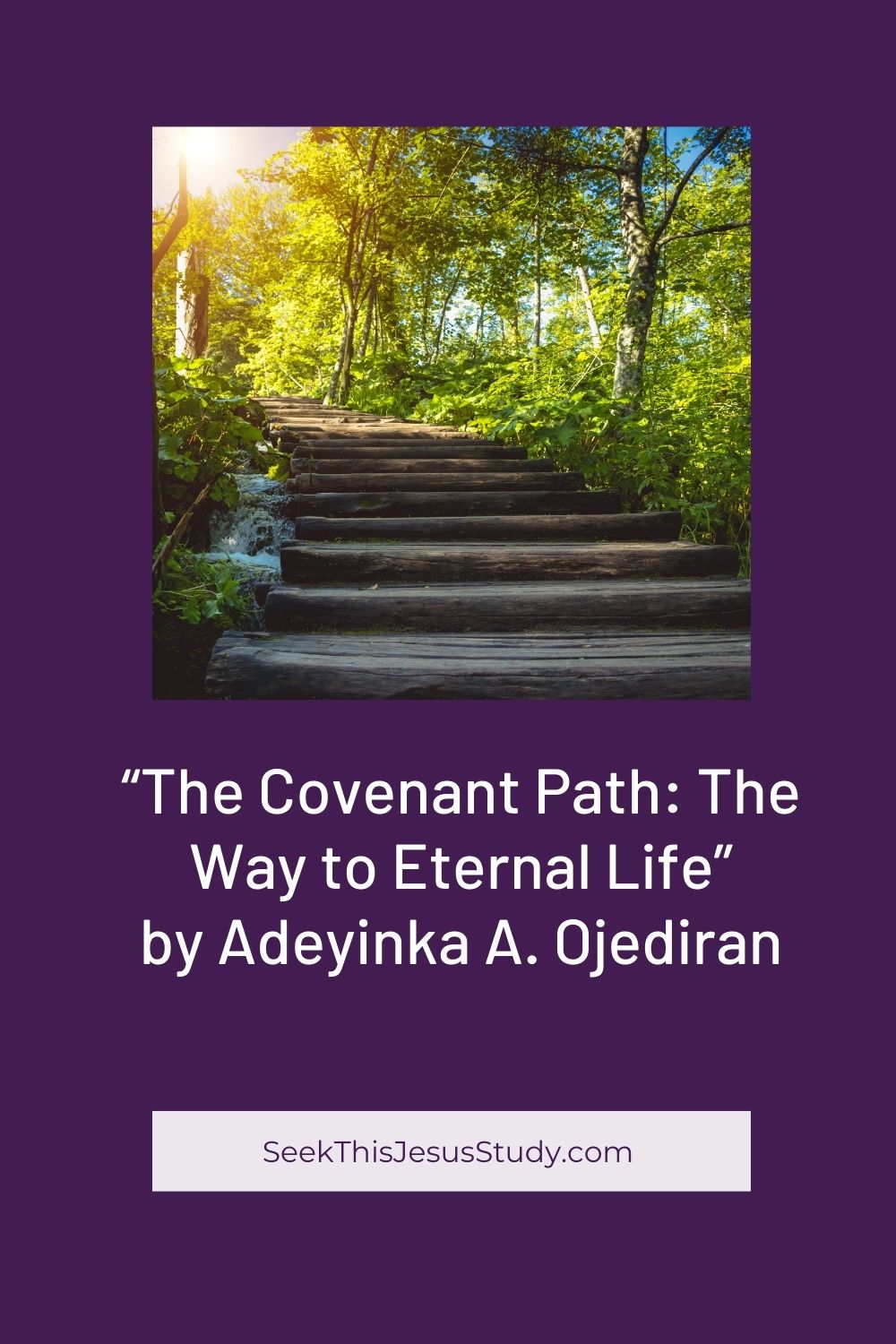 “The Covenant Path: The Way to Eternal Life” by Adeyinka A. Ojediran ...