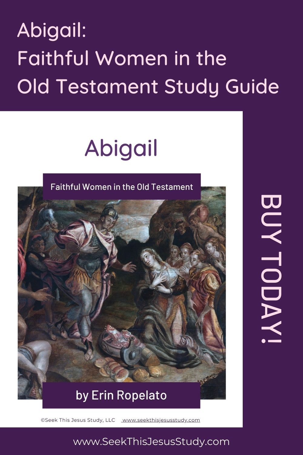 Abigail: Faithful Women of the Old Testament Study Guide - Seek This ...