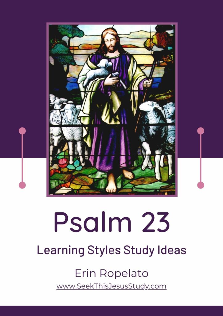 Psalm 23 Learning Styles Study Ideas - Seek This Jesus Study