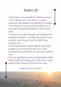 Psalm 23 Learning Styles Study Ideas - Seek This Jesus Study
