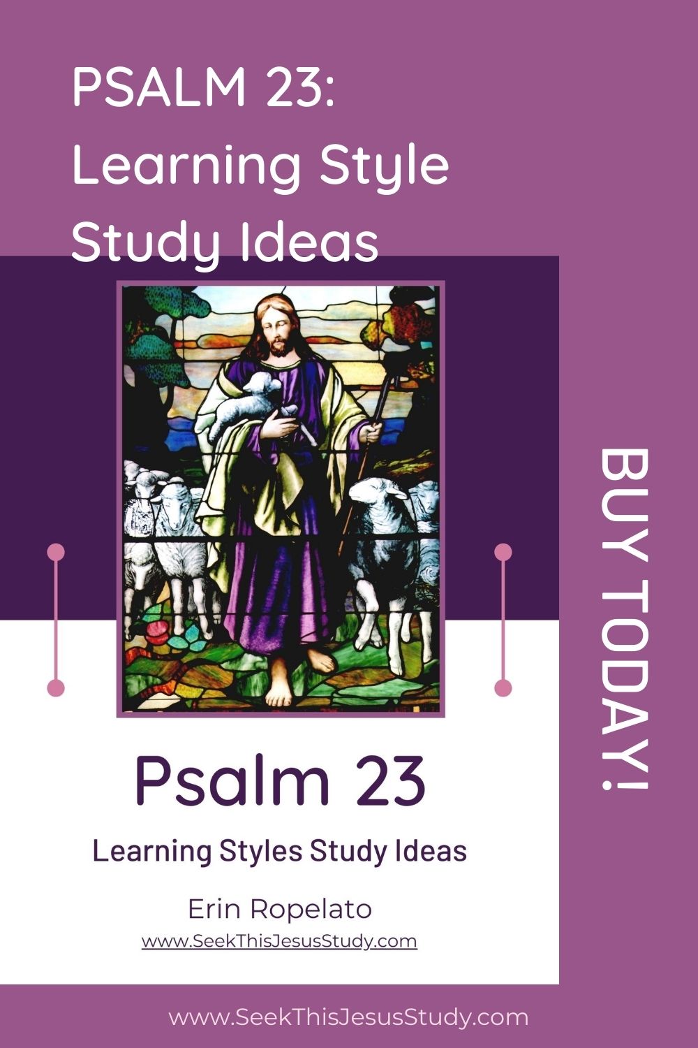 Psalm 23 Learning Styles Study Ideas - Seek This Jesus Study