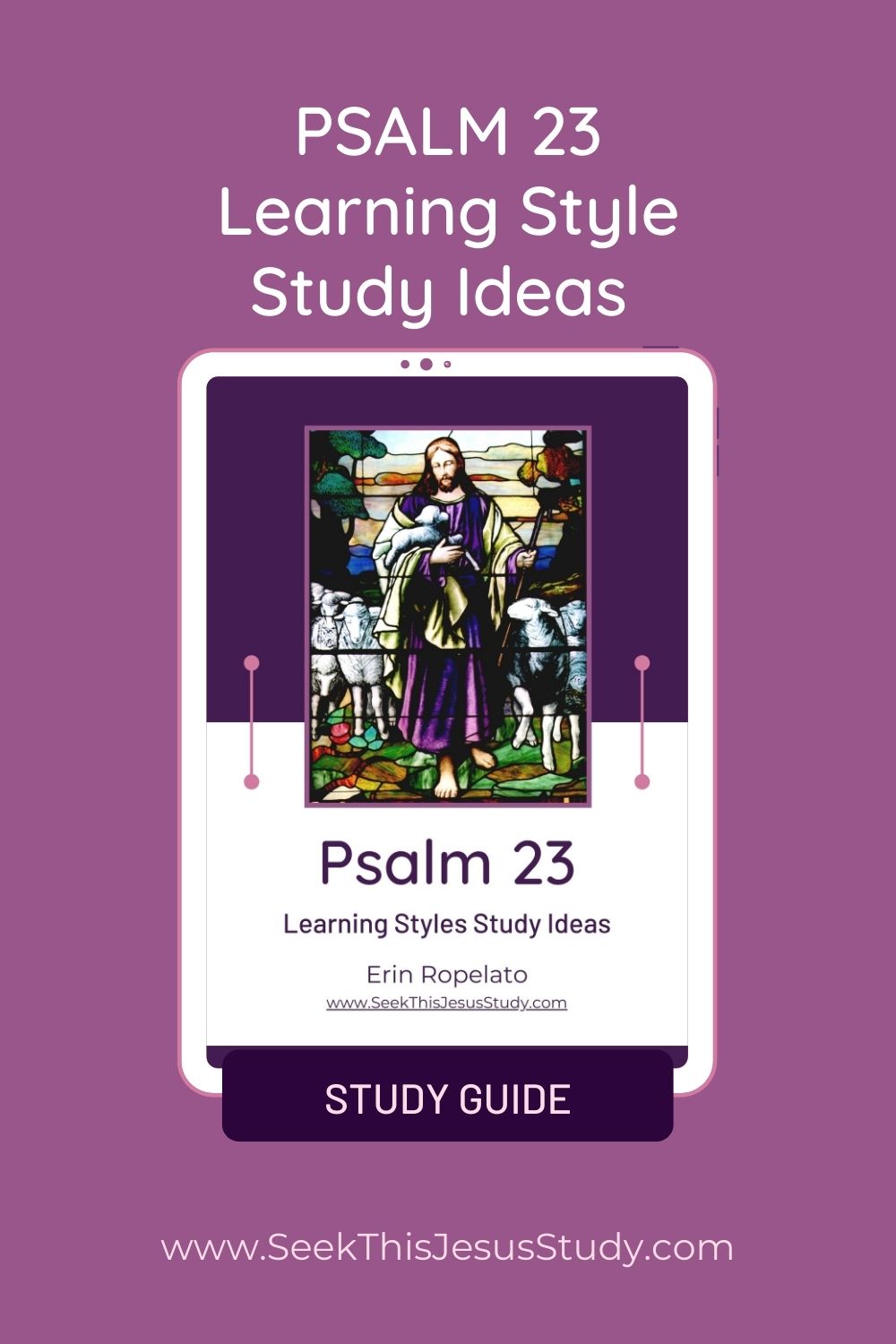 Psalm 23 Learning Styles Study Ideas - Seek This Jesus Study
