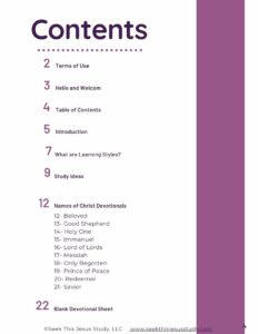 10 Names of Christ LDS Devotionals - Seek This Jesus Study