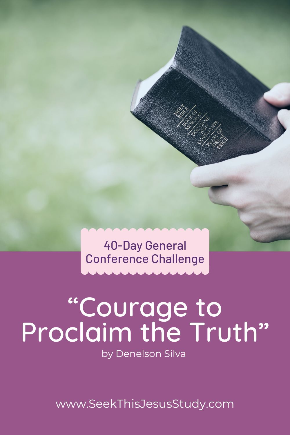 “Courage to Proclaim the Truth” by Denelson Silva - Seek This Jesus Study