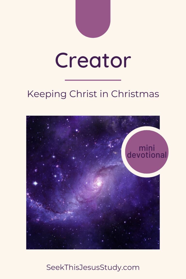 Creator: Keeping Christ in Christmas Day #2 - Seek This Jesus Study