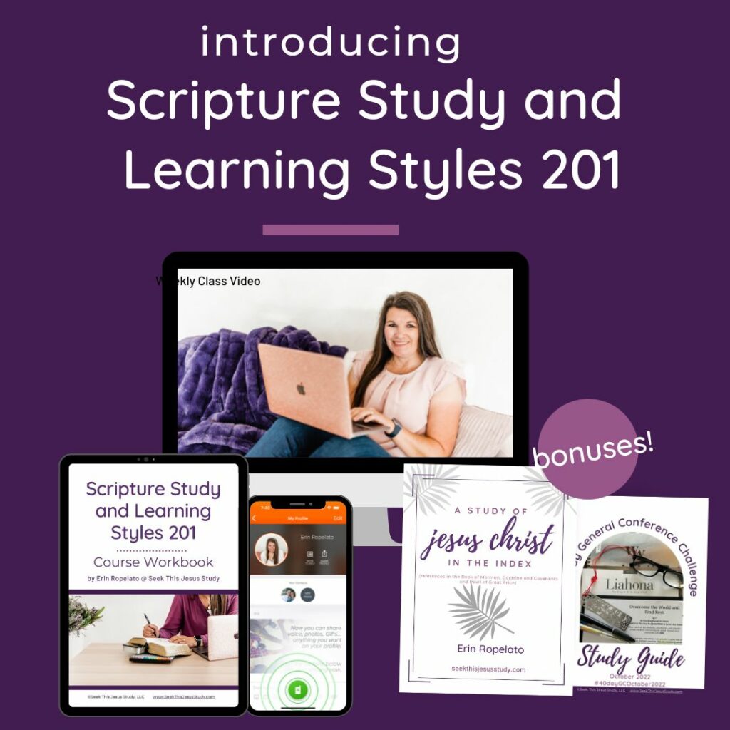 COURSE -Scripture Study and Learning Styles 201 - Seek This Jesus Study