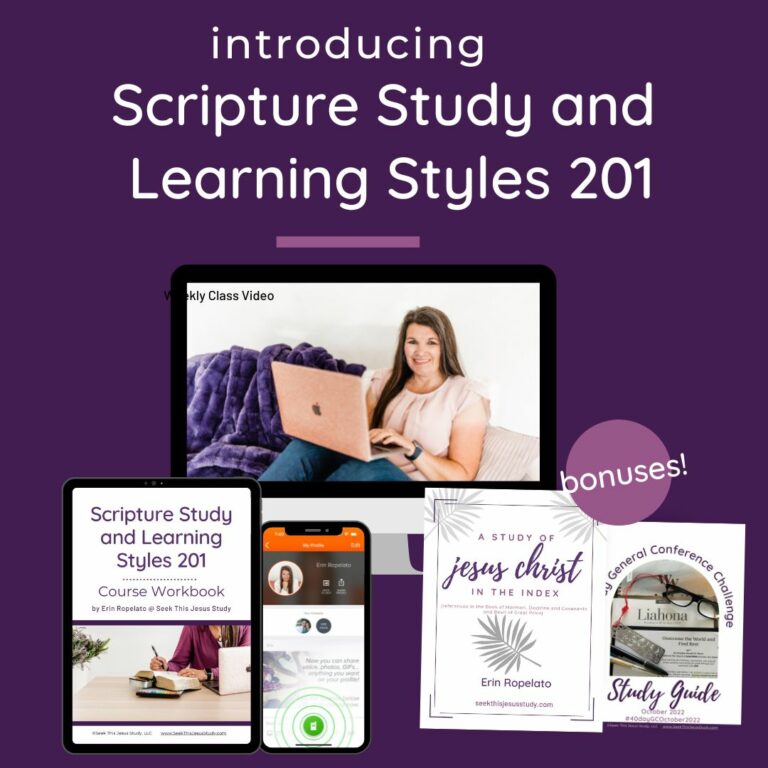COURSE -Scripture Study and Learning Styles 201 - Seek This Jesus Study