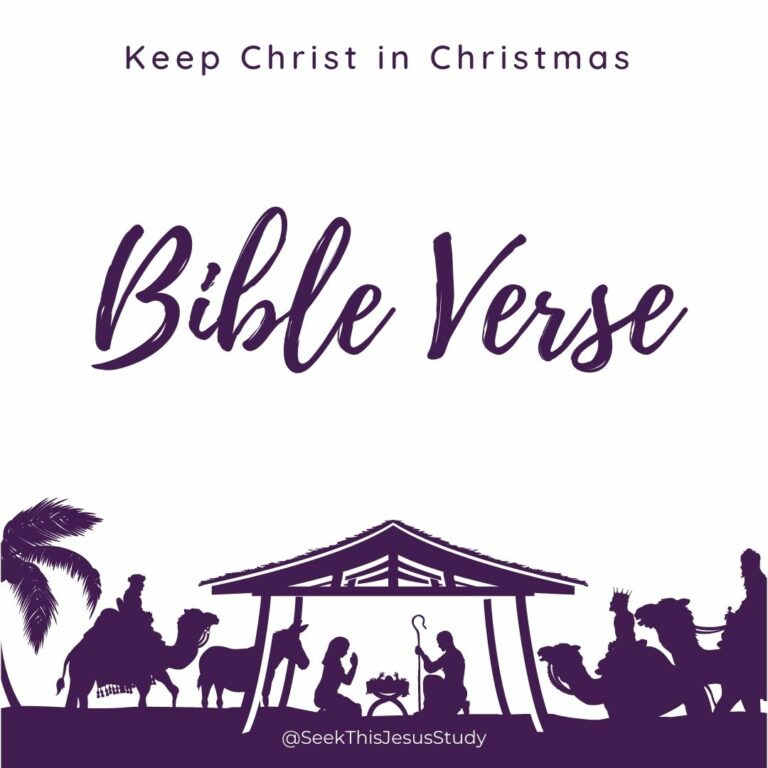 Holy: Keeping Christ in Christmas Day #10 - Seek This Jesus Study