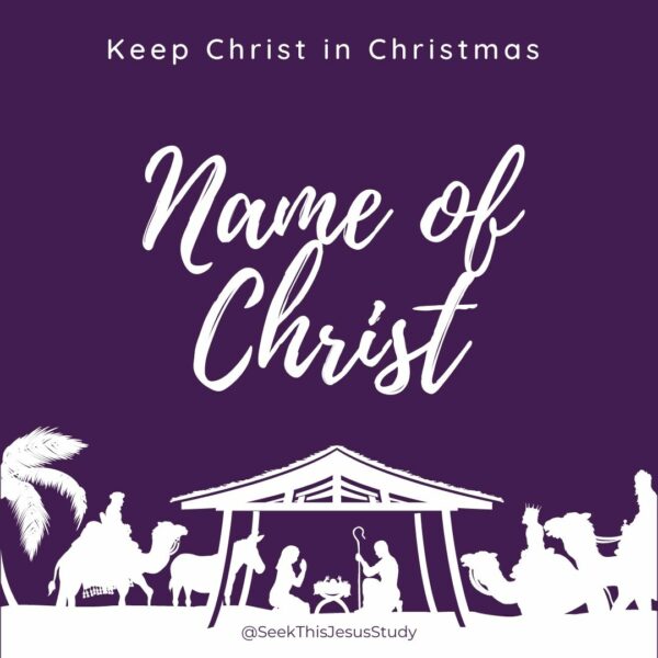 Christ: Keeping Christ in Christmas Day #11 - Seek This Jesus Study