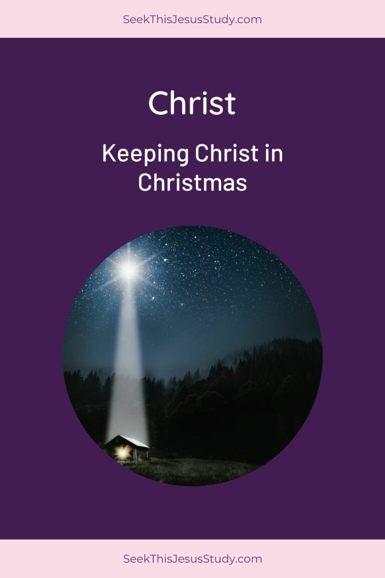 Christ: Keeping Christ in Christmas Day #11 - Seek This Jesus Study