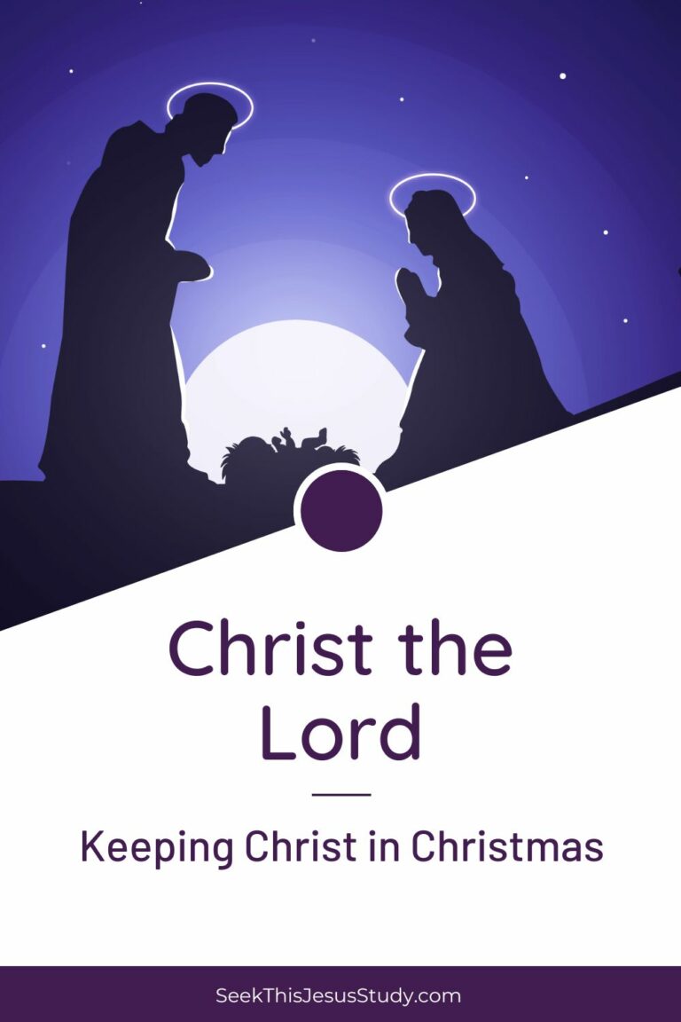 Christ the Lord: Keeping Christ in Christmas Day #14 - Seek This Jesus ...