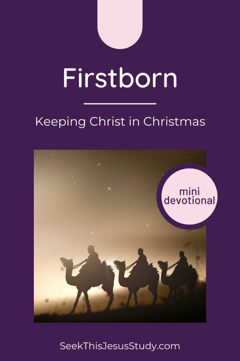 Firstborn: Keeping Christ in Christmas Day #13 - Seek This Jesus Study