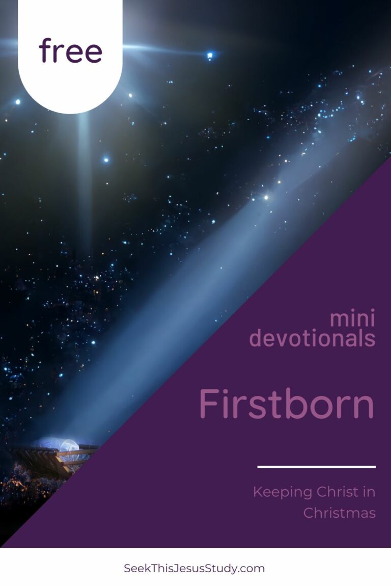 Firstborn: Keeping Christ in Christmas Day #13 - Seek This Jesus Study