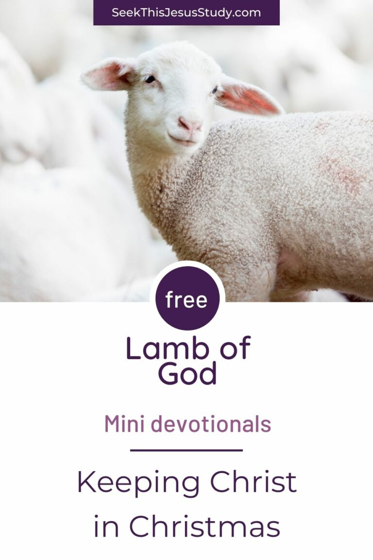 Lamb of God: Keeping Christ in Christmas Day #20 - Seek This Jesus Study