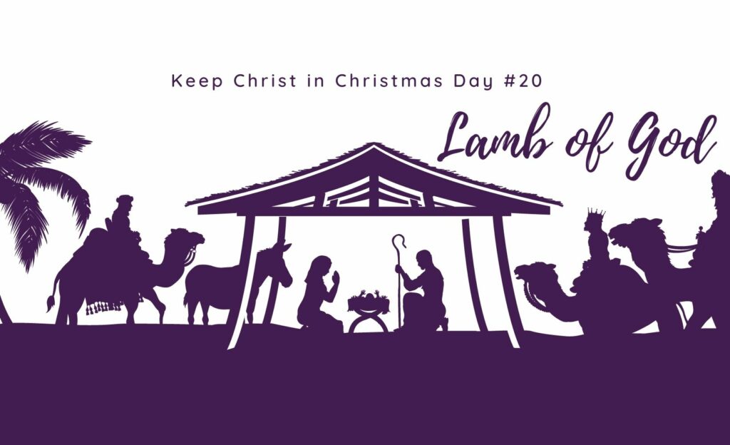 Lamb of God: Keeping Christ in Christmas Day #20 - Seek This Jesus Study