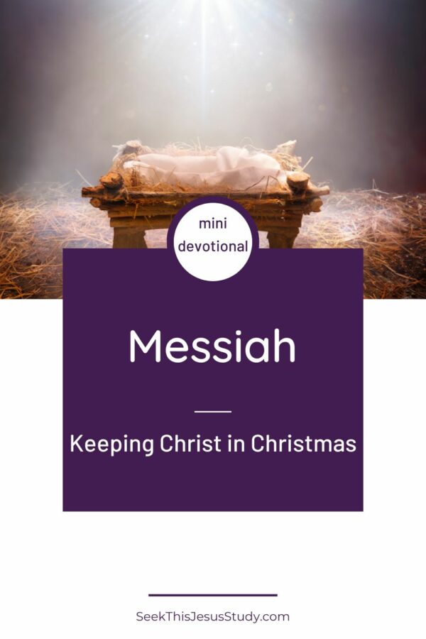 Messiah: Keeping Christ in Christmas Day #22 - Seek This Jesus Study