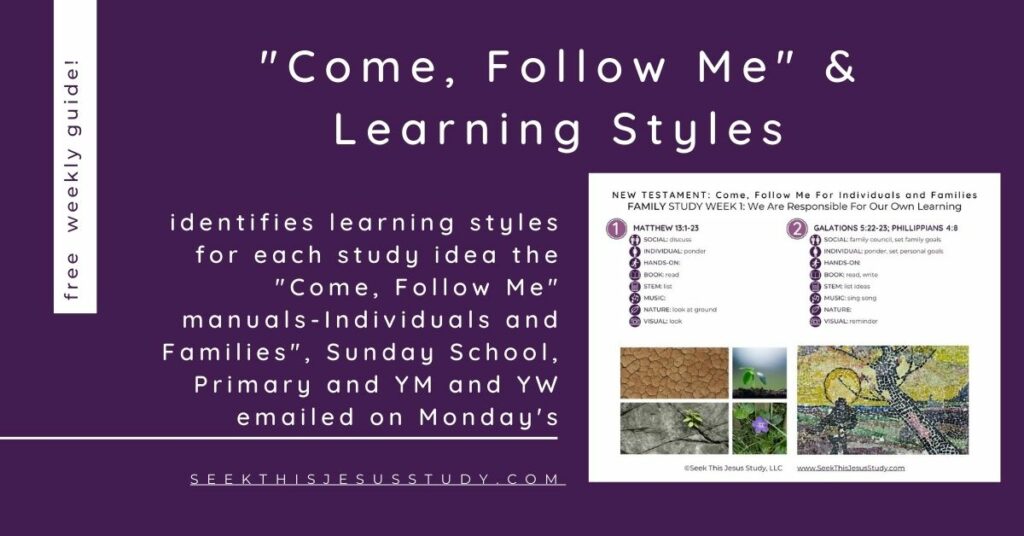 Logical-Mathematical Learning Style - Seek This Jesus Study