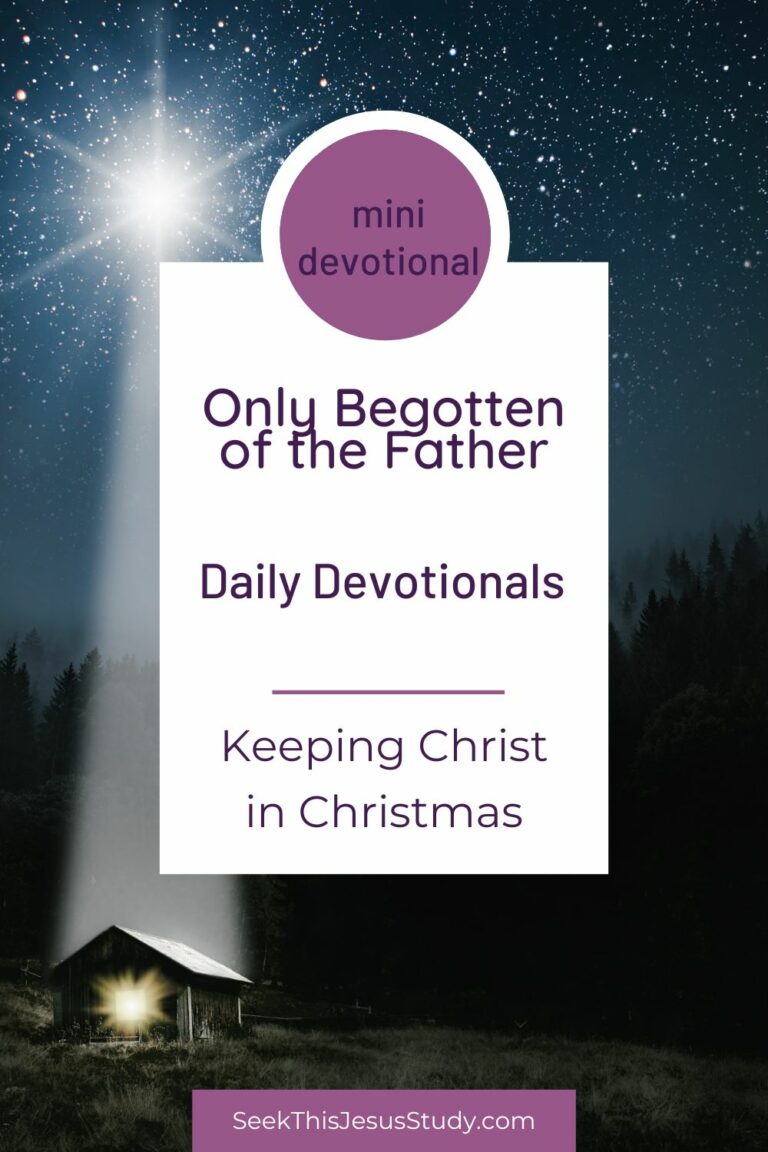 Only Begotten of the Father: Keeping Christ in Christmas Day #4 - Seek ...