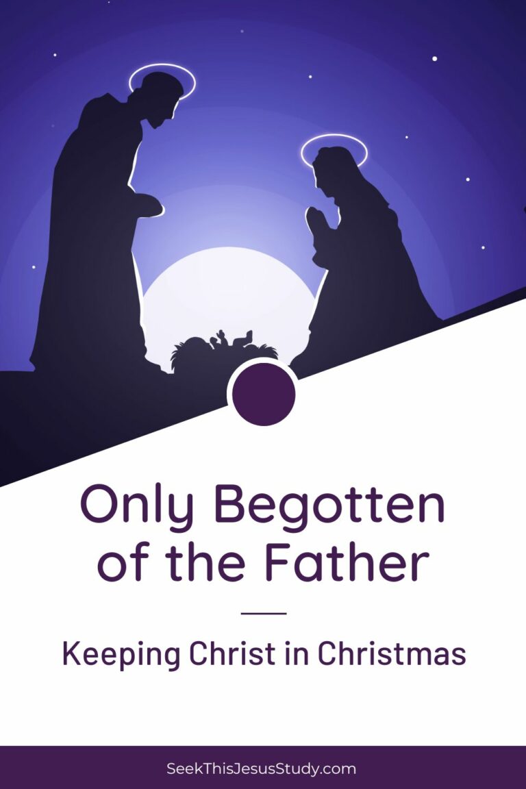 Only Begotten of the Father: Keeping Christ in Christmas Day #4 - Seek ...