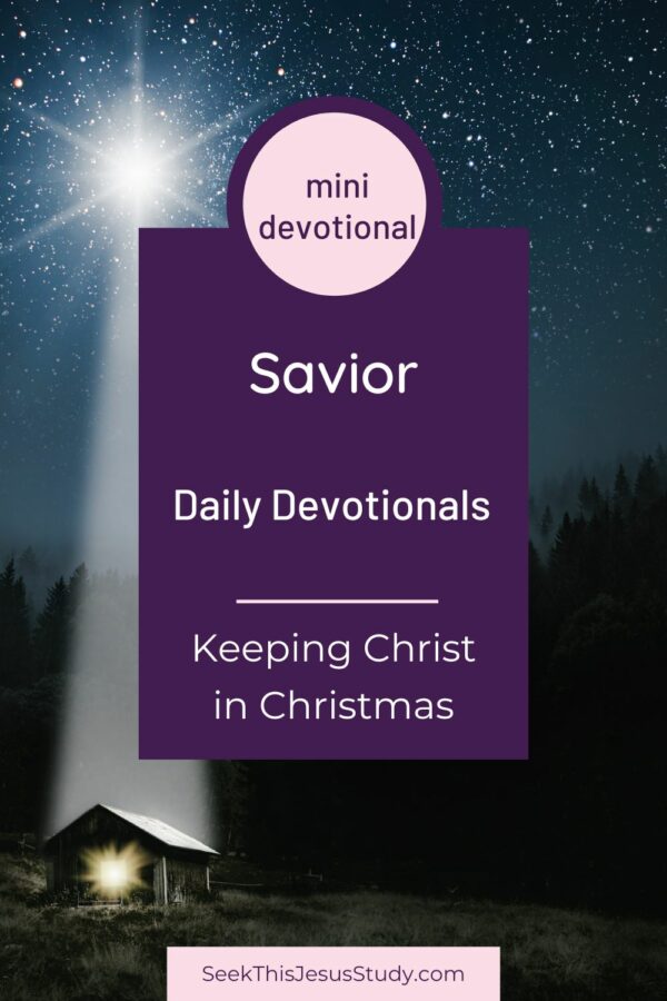 Savior: Keeping Christ in Christmas Day #9 - Seek This Jesus Study