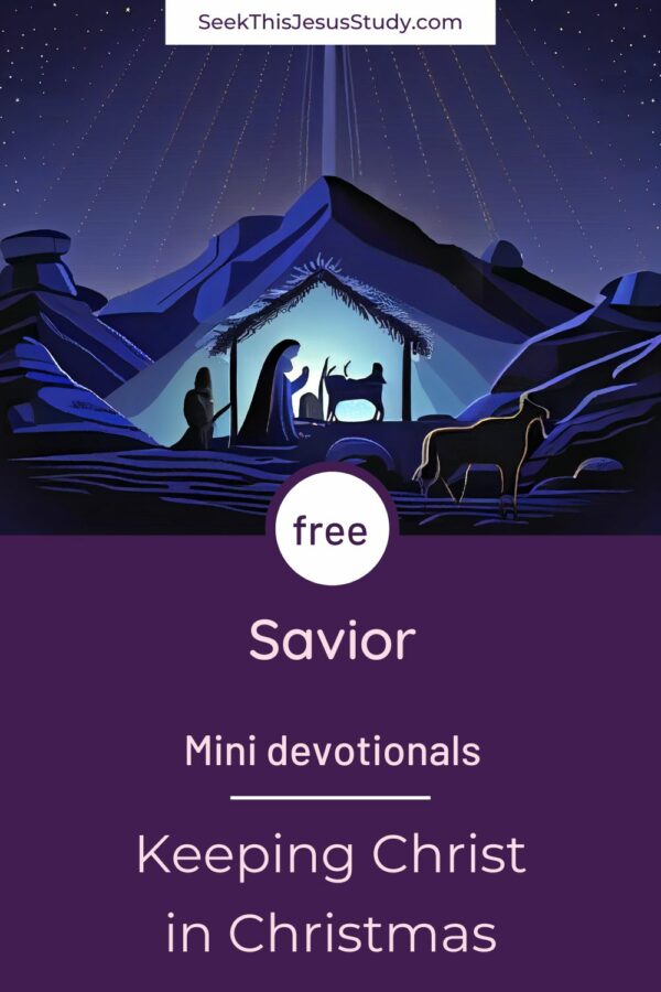 Savior: Keeping Christ in Christmas Day #9 - Seek This Jesus Study