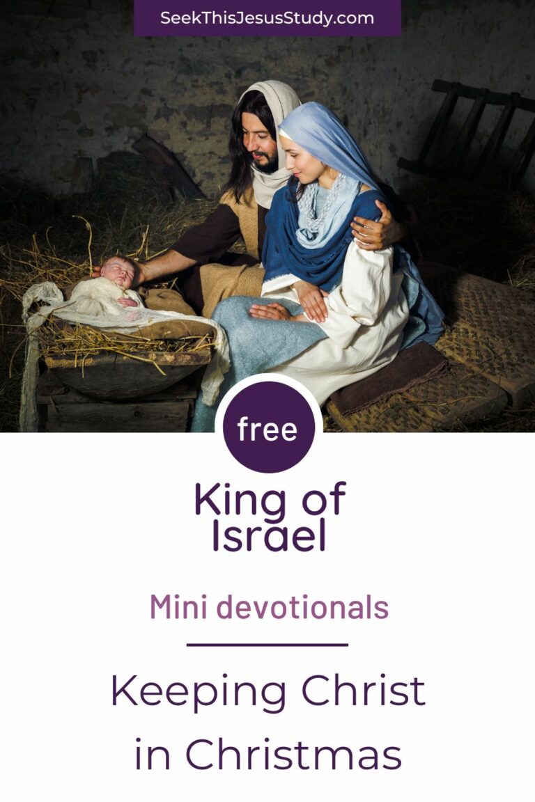 King of Israel: Keeping Christ in Christmas Day #24 - Seek This Jesus Study