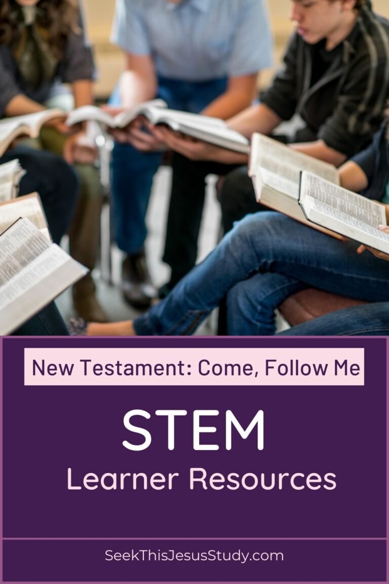 17+ NEW TESTAMENT COME, FOLLOW ME RESOURCES FOR STEM LEARNERS - Seek ...