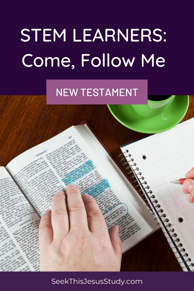17+ NEW TESTAMENT COME, FOLLOW ME RESOURCES FOR STEM LEARNERS - Seek ...