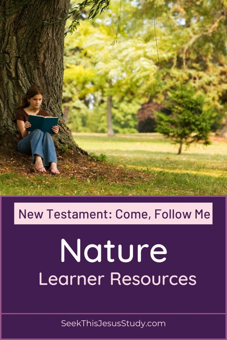 13+ NEW TESTAMENT COME, FOLLOW ME RESOURCES FOR NATURE LEARNERS - Seek ...