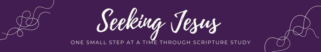 SUMMIT: Seeking Jesus Daily Interviews - Seek This Jesus Study
