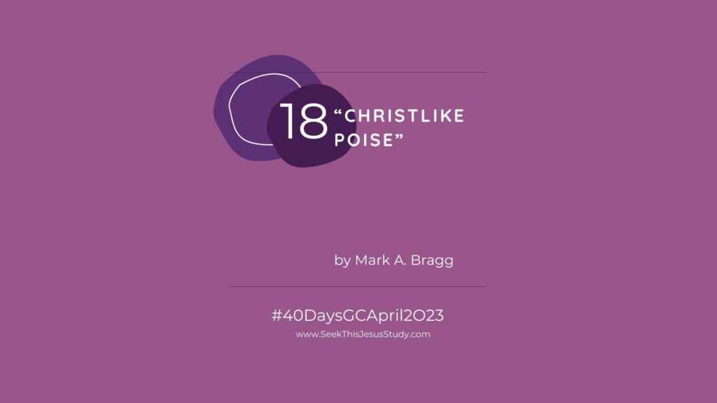 “Christlike Poise” by Mark A. Bragg - Seek This Jesus Study