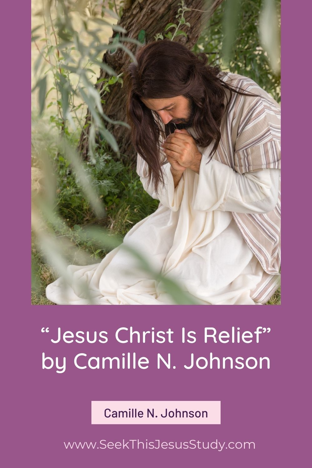“Jesus Christ Is Relief” by Camille N. Johnson - Seek This Jesus Study