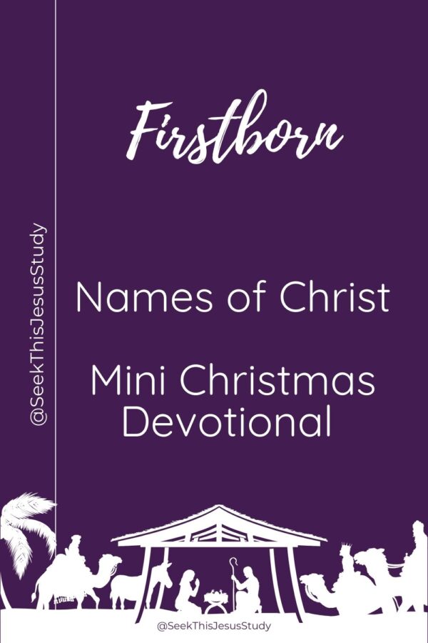 Firstborn: Name of Christ Devotional to Keep Christ in Christmas - Seek ...