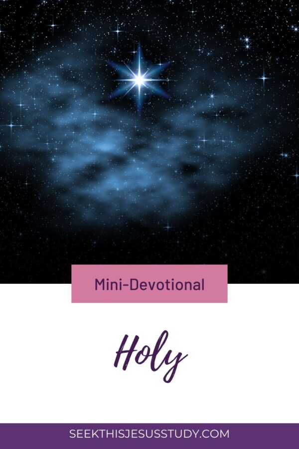 Holy: Name of Christ Devotional to Keep Christ in Christmas - Seek This ...