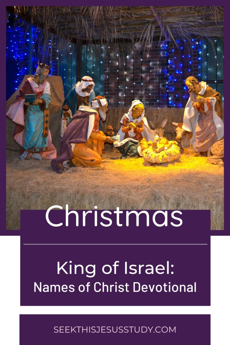 King of Israel: Name of Christ Devotional to Keep Christ in Christmas ...