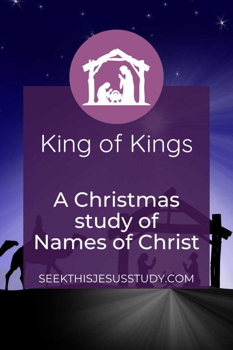 King of Kings: Name of Christ Devotional to Keep Christ in Christmas ...