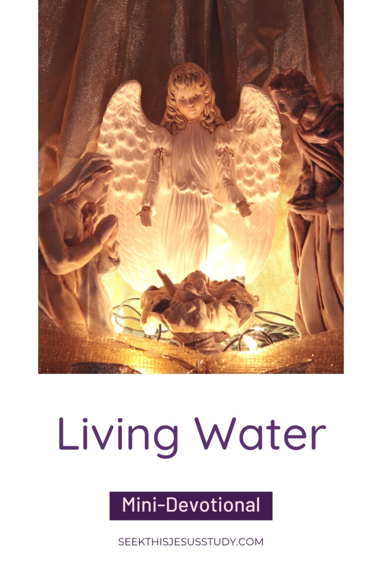 Living Water: Name of Christ Devotional to Keep Christ in Christmas ...